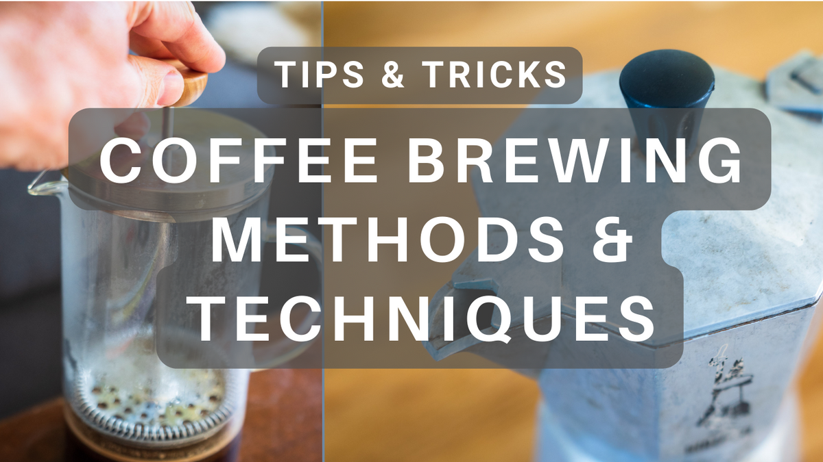 The Art of Coffee Brewing: Techniques and Methods – Tightvac