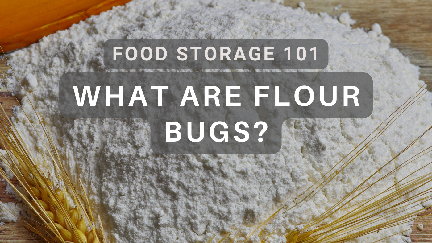 Dealing with Flour Bugs: Tips for a Pest-Free Kitchen – TIGHTVAC